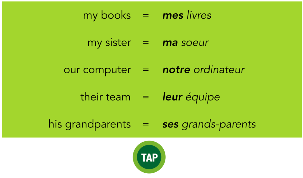 French Beginner Leçon 5 – POSSESSIVE ADJECTIVES